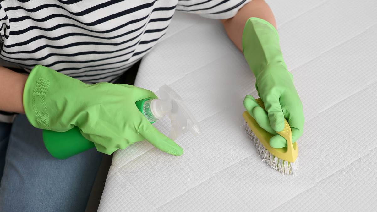 Kako očistiti fleke od urina na dušeku | Yumama